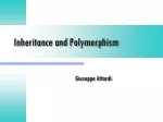 PPT - Inheritance and Polymorphism PowerPoint Presentation, free ...