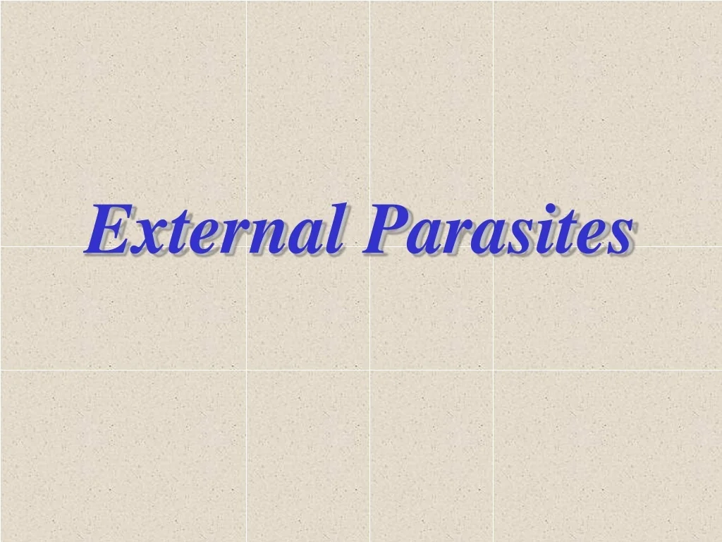 PPT - Managing External Parasites in Animals: Fleas, Lice, and Mites ...