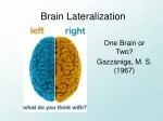PPT - BRAIN LATERALIZATION LANGUAGE AND COGNITION PowerPoint ...