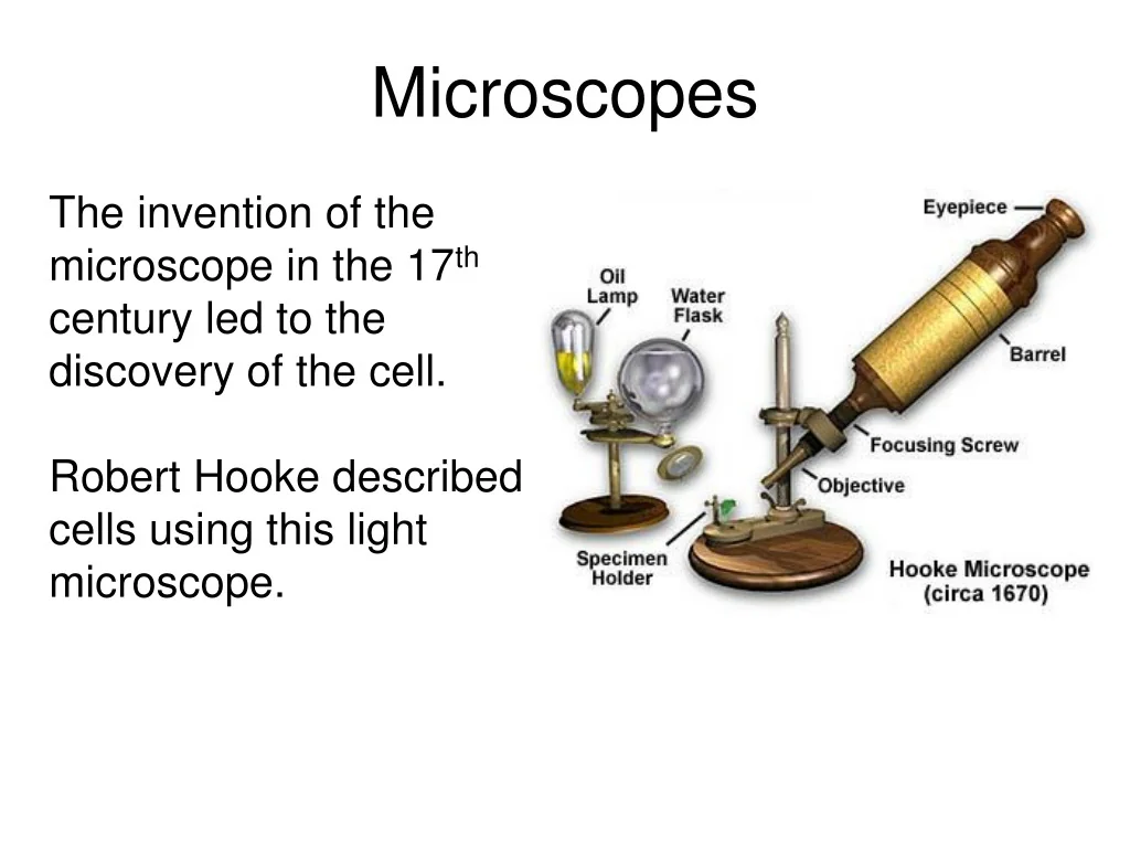 PPT - Microscopes PowerPoint Presentation, free download - ID:9454909