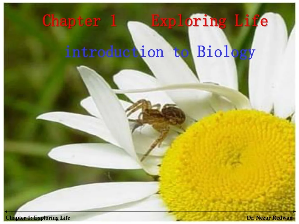 PPT - Chapter 1 Exploring Life PowerPoint Presentation, free download ...