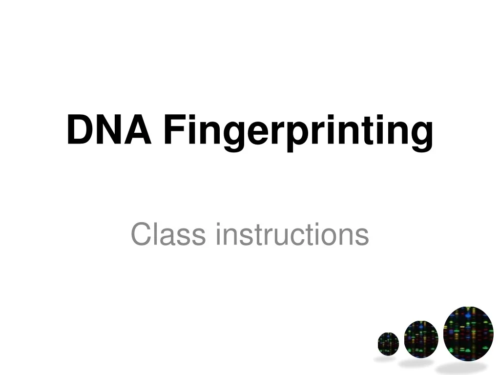 PPT - DNA Fingerprinting PowerPoint Presentation, free download - ID ...