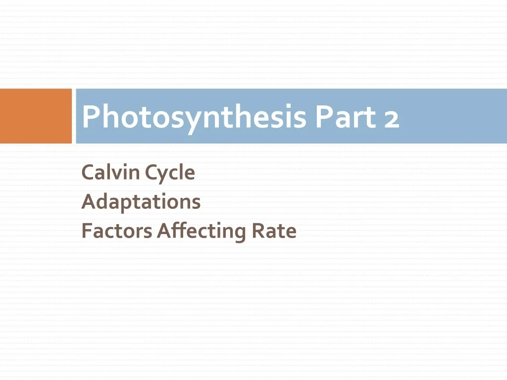PPT - Photosynthesis Part 2 PowerPoint Presentation, free download - ID ...