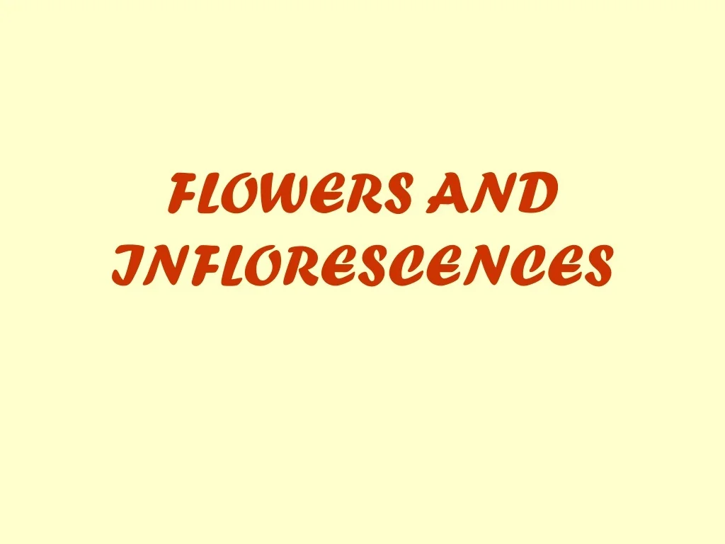 PPT - FLOWERS AND INFLORESCENCES PowerPoint Presentation, free download ...
