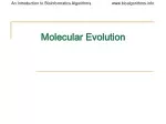 PPT - Molecular Evolution PowerPoint Presentation, free download - ID ...
