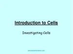 PPT - Introduction to Animal Cells PowerPoint Presentation, free ...