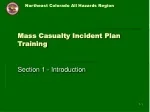 PPT - Mass Casualty Incidents PowerPoint Presentation, free download ...