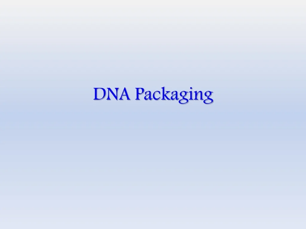 PPT - DNA Packaging PowerPoint Presentation, free download - ID:9468259