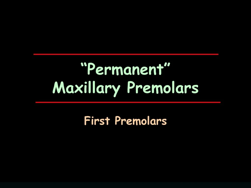 PPT - Maxillary Premolars: Permanent First and Second Premolars ...