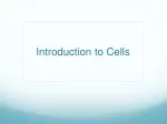 PPT - Introduction to Animal Cells PowerPoint Presentation, free ...