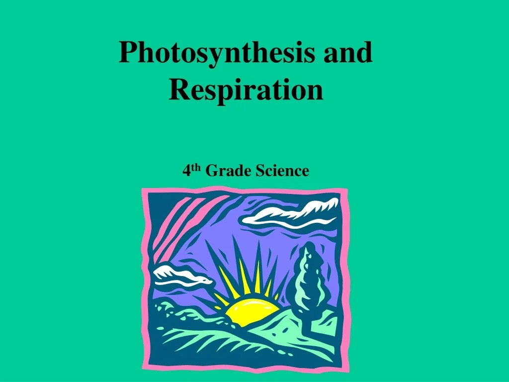PPT - Plant Photosynthesis Process Explained | 4th Grade Science ...