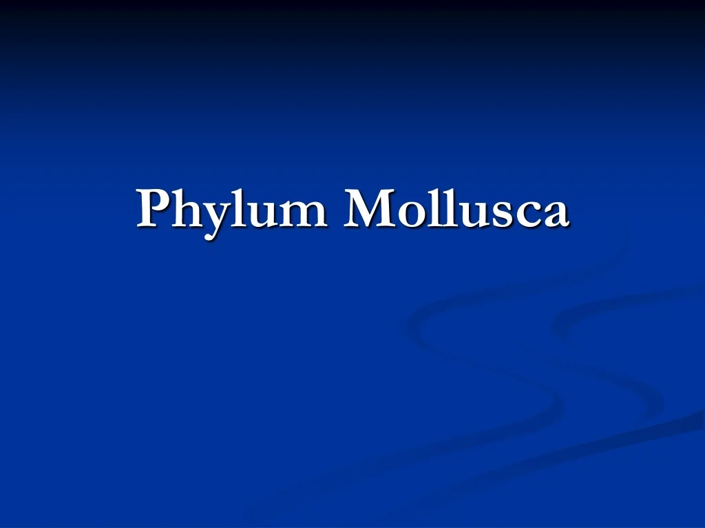 PPT - Exploring the Fascinating World of Mollusca: Anatomy, Taxonomy ...