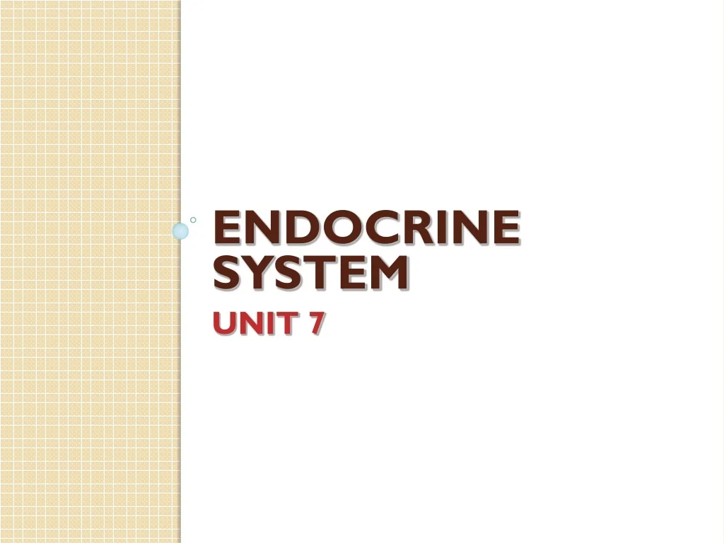 PPT - ENDOCRINE SYSTEM UNIT 7 PowerPoint Presentation, free download ...
