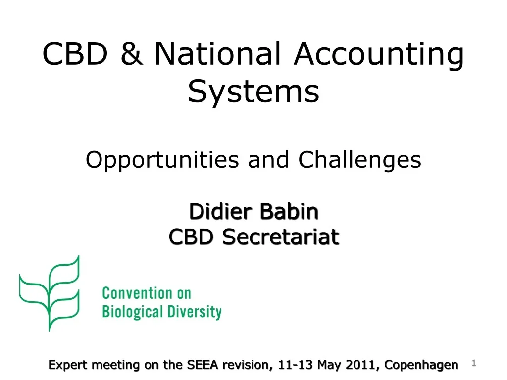 PPT - CBD & National Accounting Systems PowerPoint Presentation - ID ...