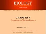 PPT - CHAPTER 9 Patterns of Inheritance PowerPoint Presentation, free download - ID:5241498