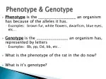 PPT - Genotype and Phenotype PowerPoint Presentation, free download ...