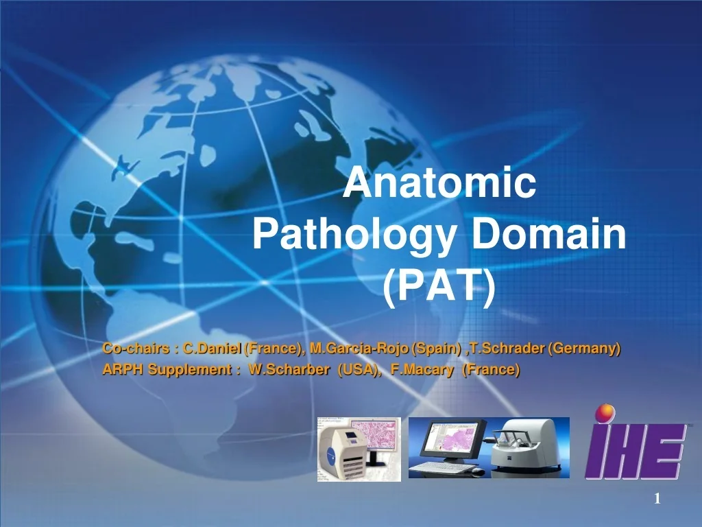PPT - Anatomic Pathology Domain (PAT) PowerPoint Presentation, free ...