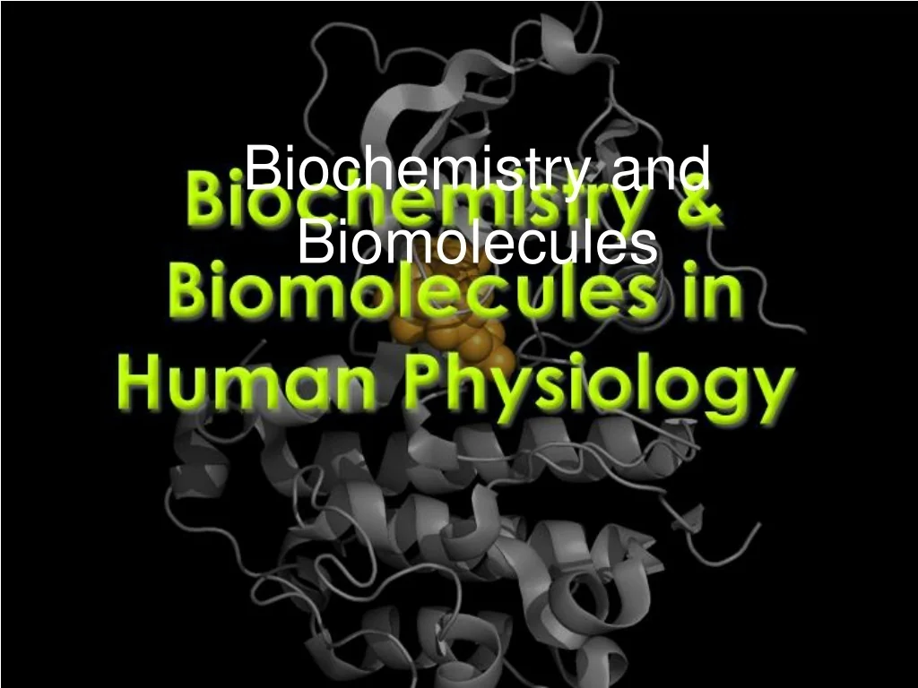 PPT - Biochemistry and Biomolecules PowerPoint Presentation, free ...