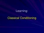 PPT - Classical Conditioning: The Elements of Associative Learning ...