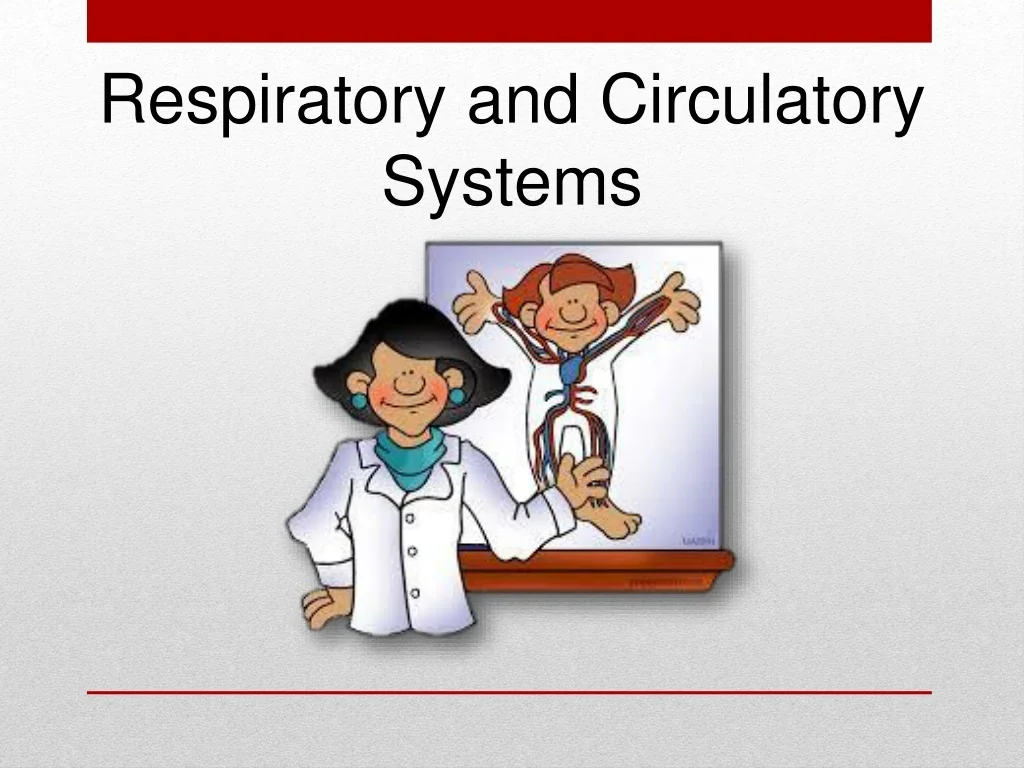 PPT - Respiratory and Circulatory Systems for Homeostasis PowerPoint ...