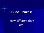 PPT - AGE SUBCULTURES PowerPoint Presentation, free download - ID:955029