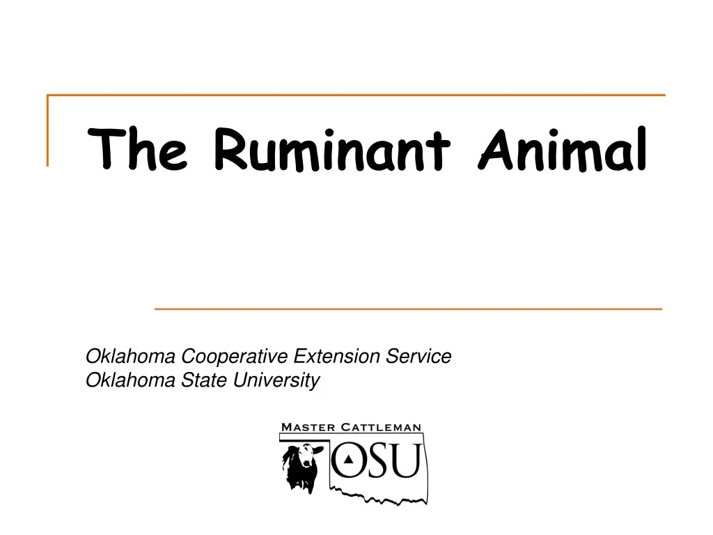 PPT - The Ruminant Animal PowerPoint Presentation, free download - ID ...