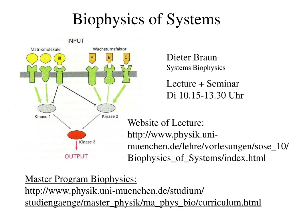 PPT - Biophysics of Systems PowerPoint Presentation, free download - ID ...