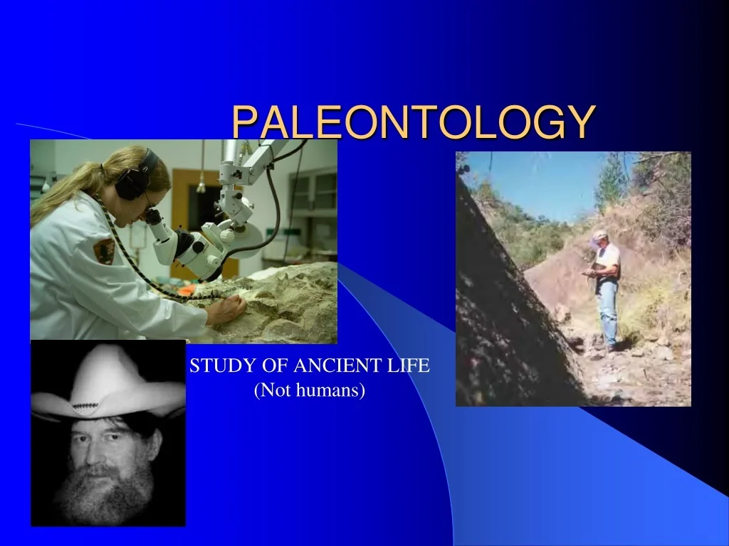 PPT - PALEONTOLOGY PowerPoint Presentation, free download - ID:9482746