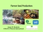 PPT - Quality Seed Production PowerPoint Presentation, free download ...