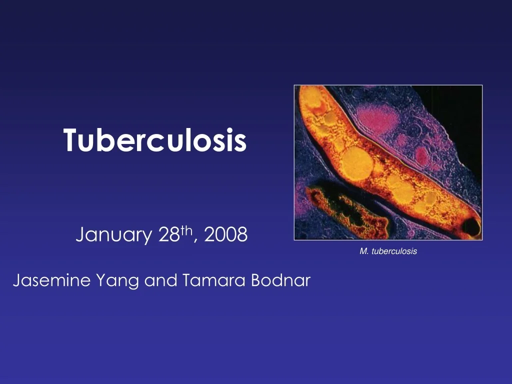PPT - The Evolution of Tuberculosis: From Ancient Times to Modern ...