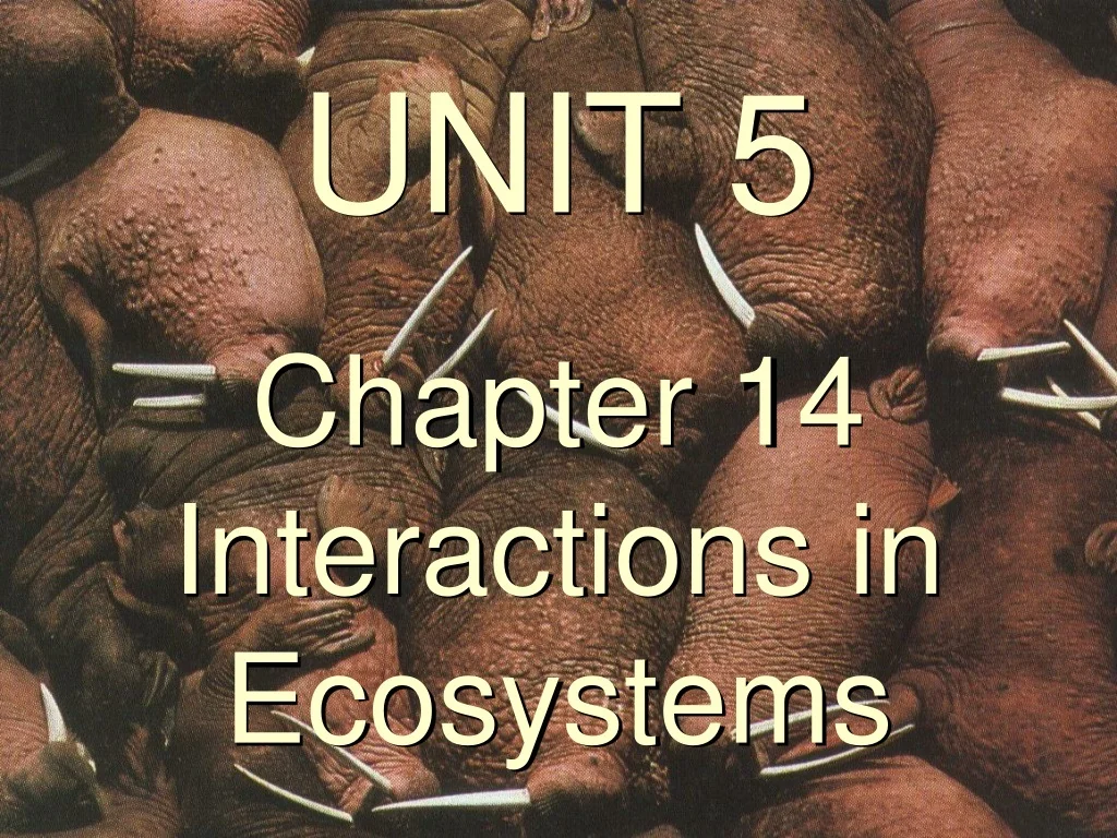 PPT - UNIT 5 Chapter 14 Interactions in Ecosystems PowerPoint ...