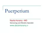 PPT - PUERPERIUM PowerPoint Presentation, free download - ID:2000388