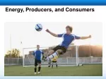 PPT - PRODUCERS, CONSUMERS, and DECOMPOSERS PowerPoint Presentation ...
