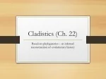 PPT - Phenetics vs. Cladistics PowerPoint Presentation, free download ...