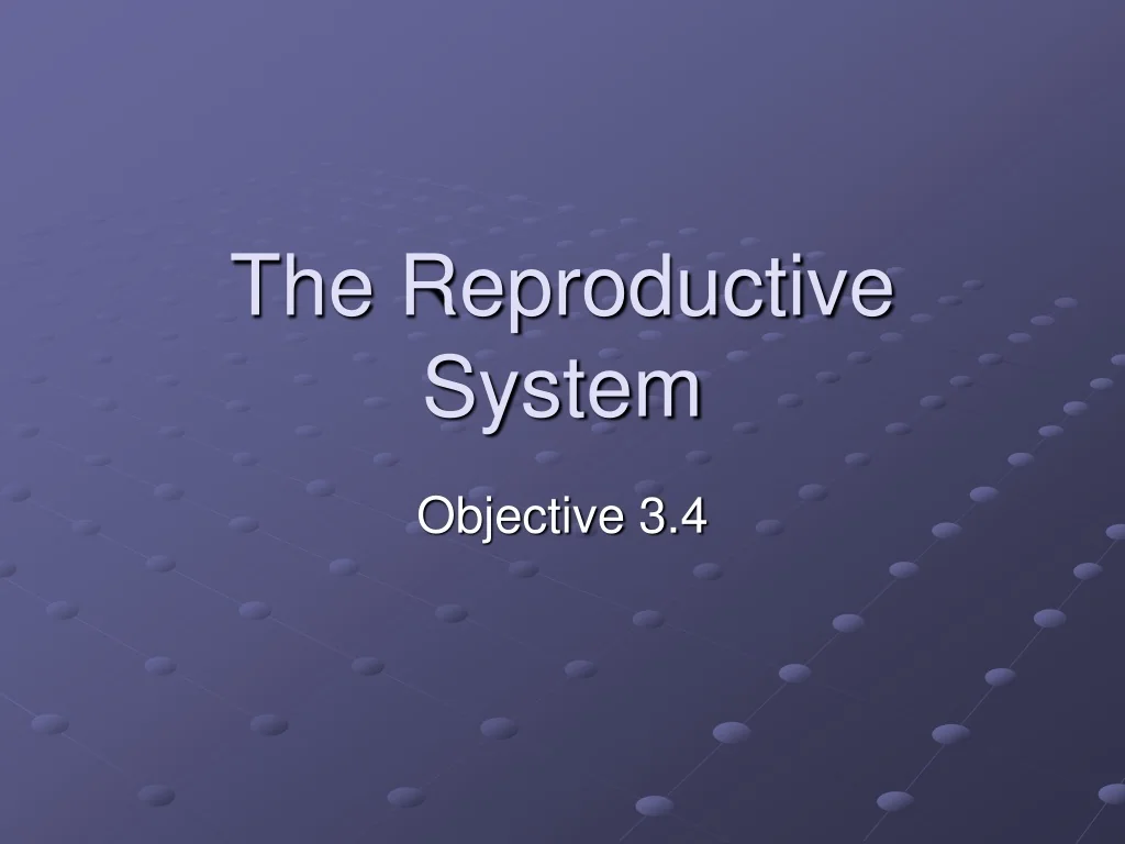 PPT - The Reproductive System PowerPoint Presentation, free download ...