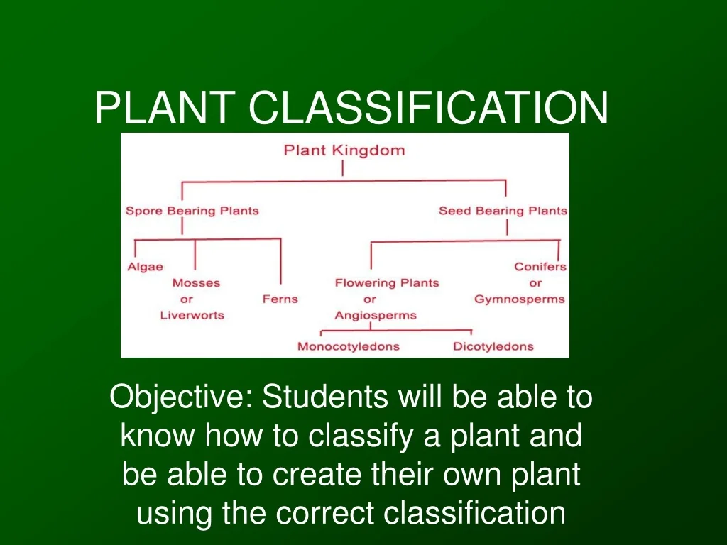 PPT - PLANT CLASSIFICATION PowerPoint Presentation, free download - ID ...