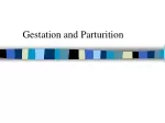 PPT - Parturition and induction PowerPoint Presentation, free download ...