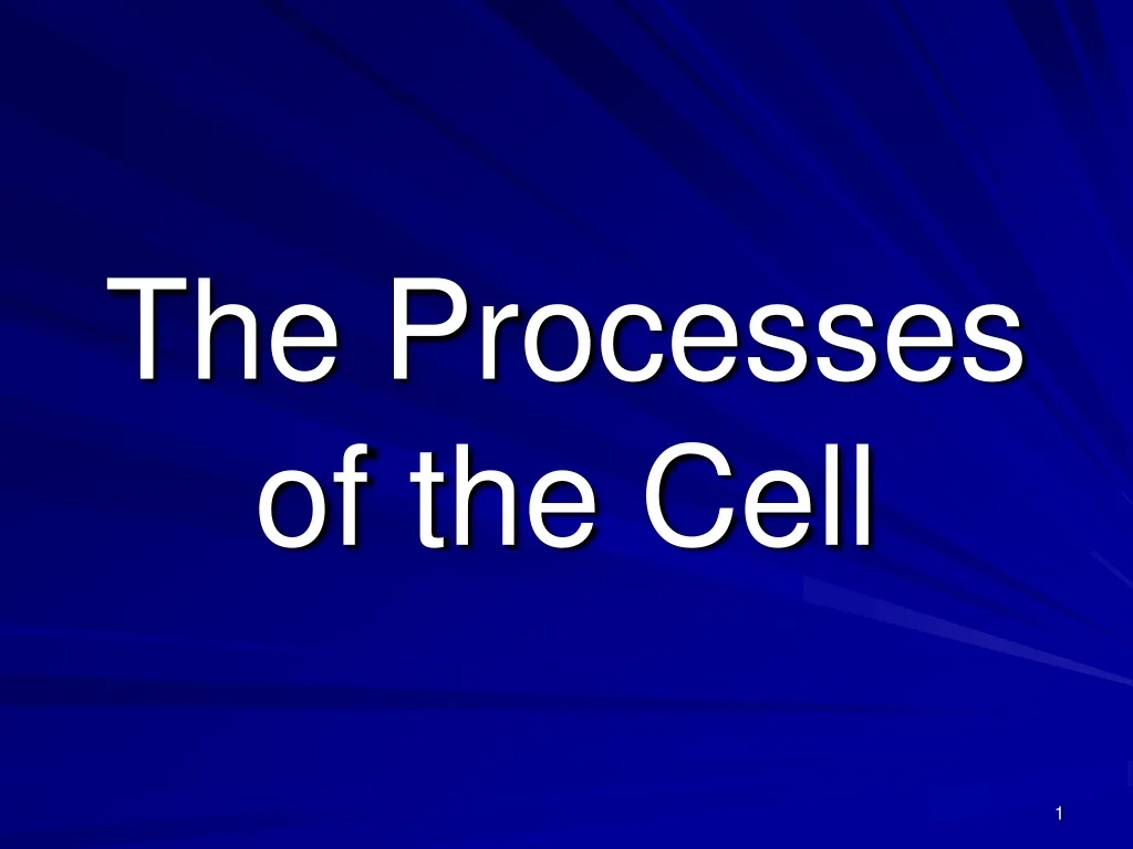 PPT - The Processes of the Cell PowerPoint Presentation, free download ...