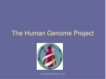 PPT - The Human Genome Project PowerPoint Presentation, free download ...