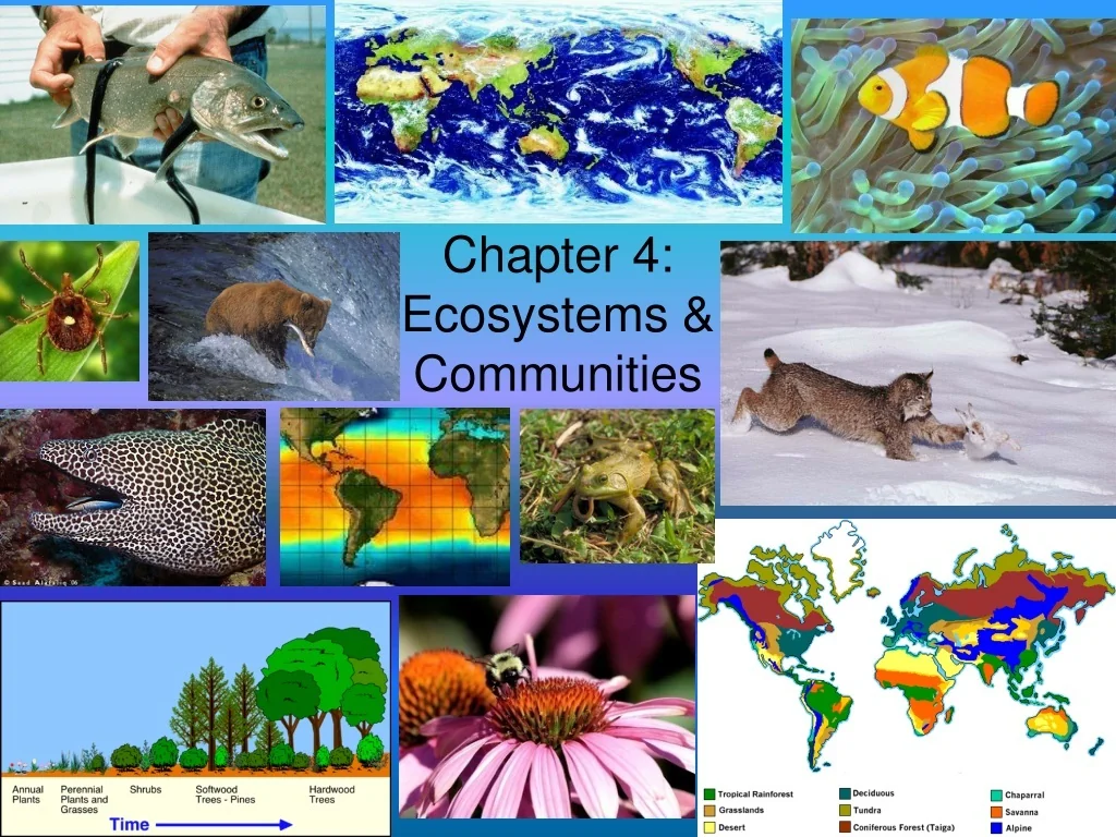 PPT - Chapter 4: Ecosystems & Communities PowerPoint Presentation - ID ...