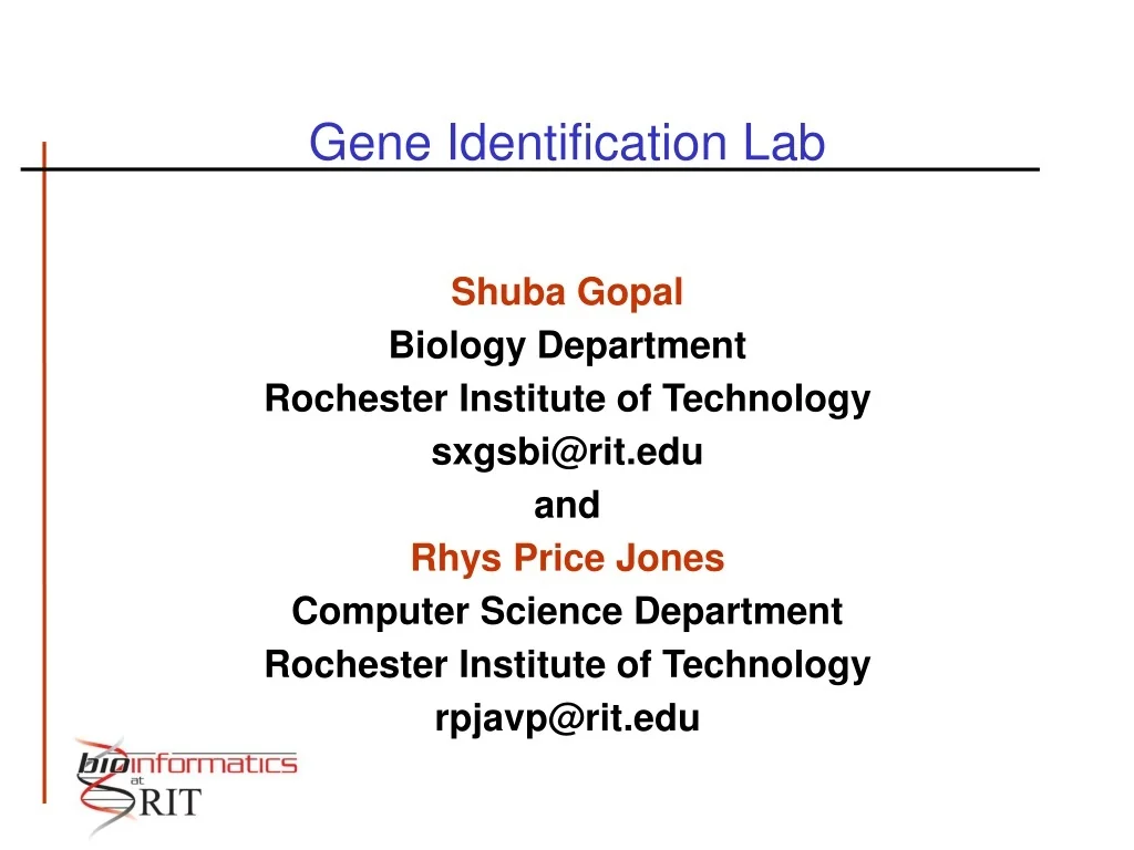PPT - Gene Identification Techniques and Analysis Methods PowerPoint ...