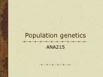 PPT - Population Genetics PowerPoint Presentation, free download - ID ...