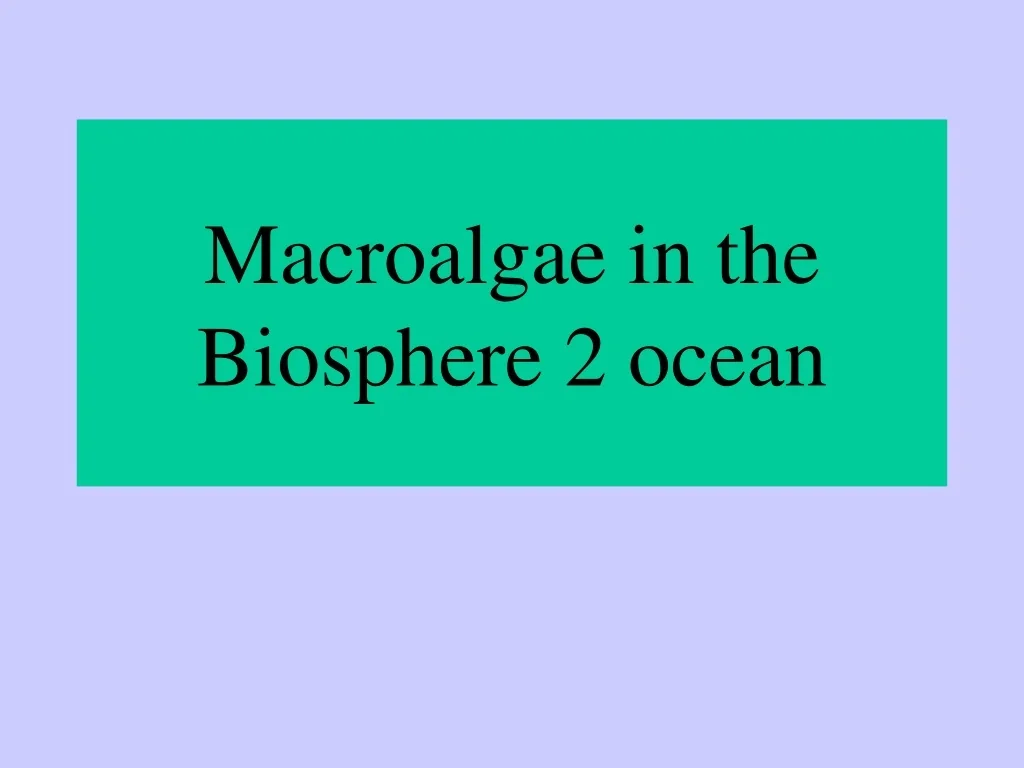PPT - Exploring Macroalgae Diversity in Biosphere 2 Ocean: Research ...