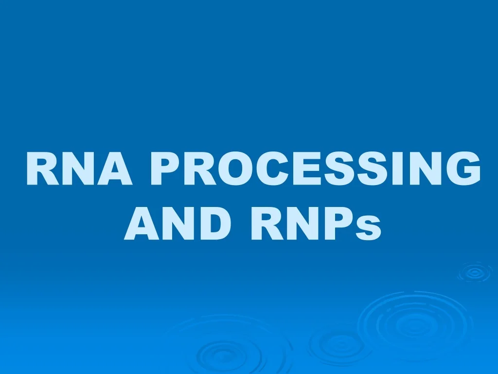 PPT - RNA Processing and RNPs: Molecular Events Inducing RNA Maturity ...