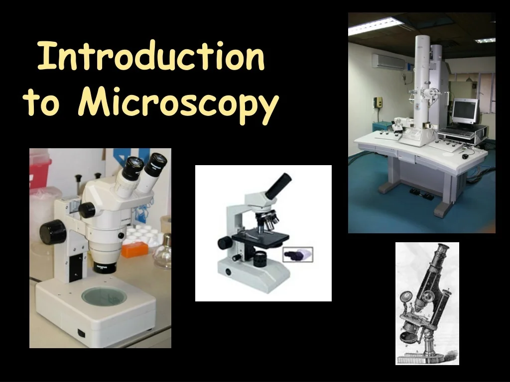 PPT - Introduction to Microscopy PowerPoint Presentation, free download ...