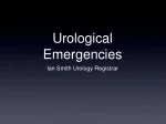 PPT - UROLOGICAL EMERGENCIES PowerPoint Presentation, free download ...