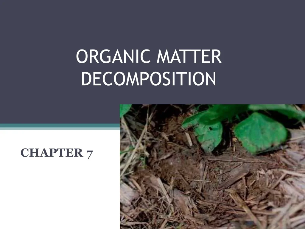PPT - Soil Organic Matter: Decomposition and Essential Plant Nutrients ...