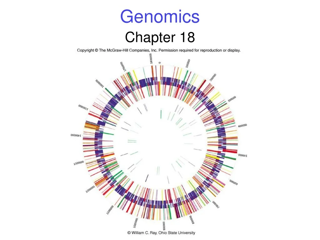 PPT - Mapping Genomes: Genetic and Physical Maps Unveiled PowerPoint ...