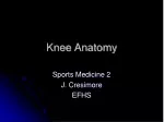 PPT - Knee Anatomy PowerPoint Presentation, free download - ID:5326433