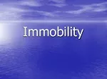PPT - Mobility and Immobility PowerPoint Presentation, free download ...